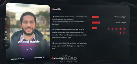 Ahmed Haridy Portofolio مستقل