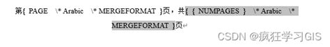 Word不计算封面、目录页数将正文页码修改为第几页共几页的格式第页共页 Csdn博客