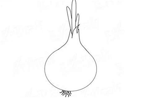 How To Draw Onion Cell Easy And Step By Step