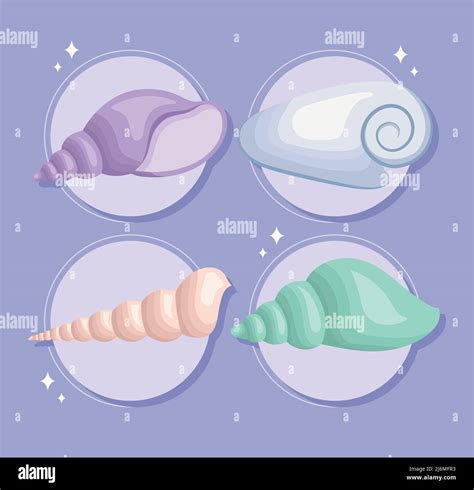 Four Colored Seashell Stock Vector Image And Art Alamy