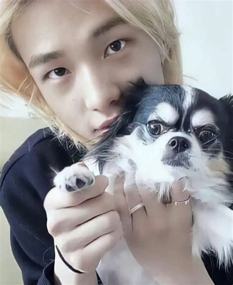 Blip 내가 보고싶어서 만든 귀여운 돼끼 모음zip