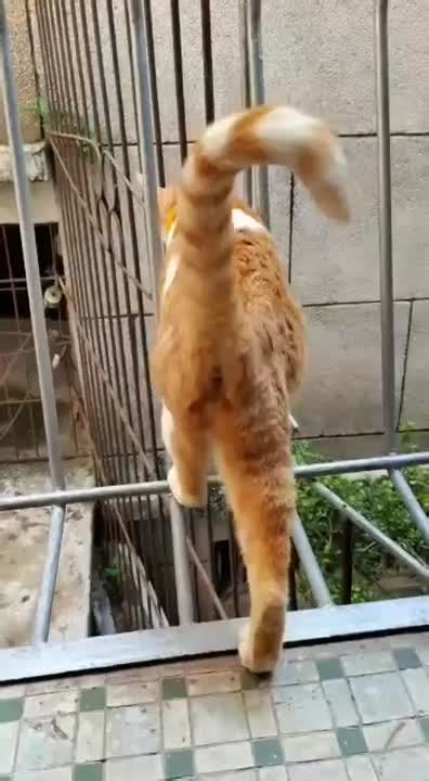 K V Shamsudheen Posted On Linkedin