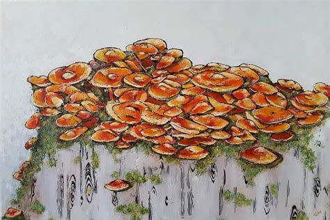 Natuur Ruby Van Assendelft