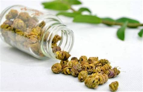 High Quality Dendrobium Extract Powder Suppliers Manufacturers