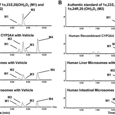 Representative Lc Ms Ms Chromatogram Showing The Inhibitory Effect Of Download Scientific