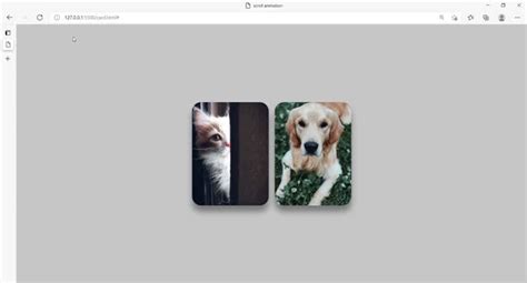 Video Manjula M On Linkedin Card Hover Effect Using Html And Css