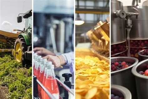 Dawerr Support To Agrifood Industries In Lebanon Chamber Of Commerce Tripoli