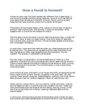 How A Fossil Is Formed Reading Comprehension With Q A Quiz TPT