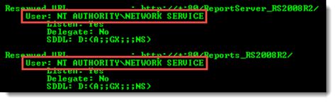 Reporting Services Error 503 Error Creating Endpoint Access Is