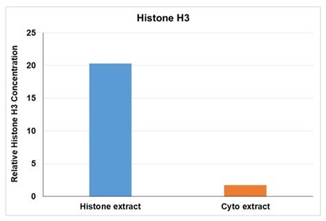 Readiprep™ Histone Extraction Kit Aat Bioquest