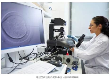 英国人凑热闹：人类生殖细胞基因编辑研究争什么？ 知识分子的财新博客 财新网