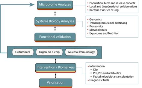 Research Groningen Microbiome Hub