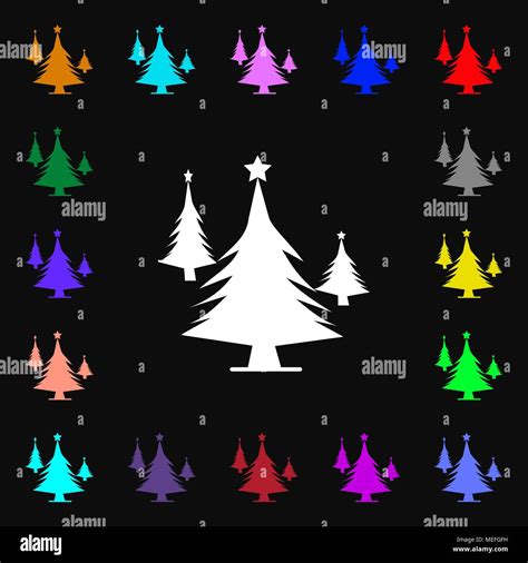 Coniferous Forest Tree Fir Tree Icon Sign Lots Of Colorful Symbols For Your Design Vector