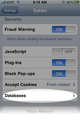 What Are IPhone Safari Databases Lena Shore