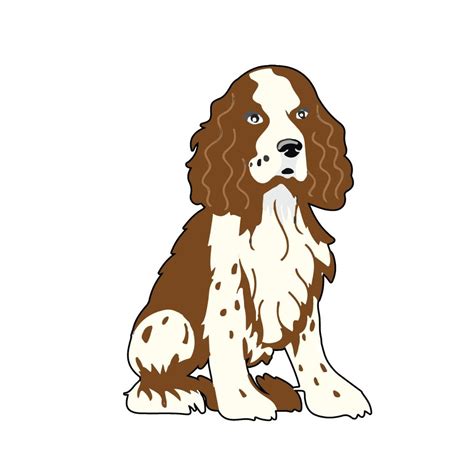 Spaniel Foster Needed Please Ruby Dogs Name Ruby Breed Cocker