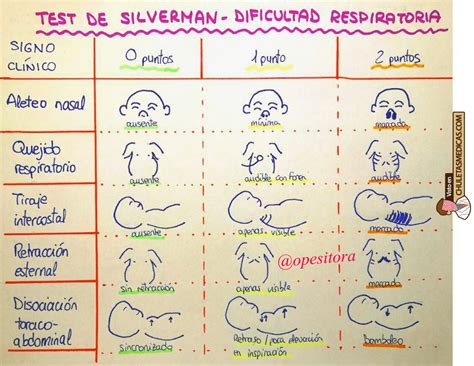 Escala De Silverman En La Dificultad Respiratoria Neonatal Chuletas
