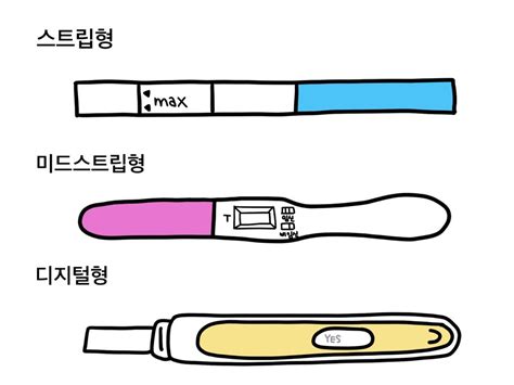 배란테스트기 이렇게 사용해야 정확해요