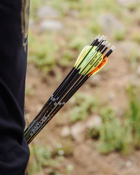 Custom Arrow Builder Design Your Arrows Online Korbins Archery