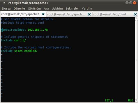 Apache And Bind9 Konfigürasyonu Ubuntu Kemal Kefeli