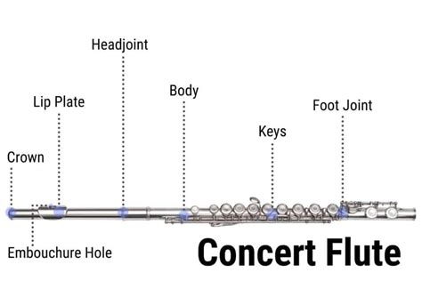 Flute Diagram
