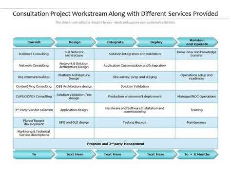 Consultation Project Workstream Along With Different Services Provided