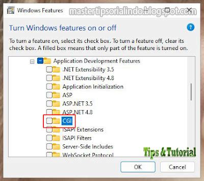 Memperbaiki Error FastCGI Feature Must Be Enabled In Order To Register PHP Mastertipsorialindo