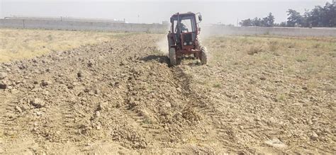 آماده سازی زمین‌های زراعتی برای کشت خزانی در فارم تحقیقات مرکزی ولایت