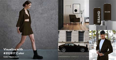 Visualize With 352817 Color Color