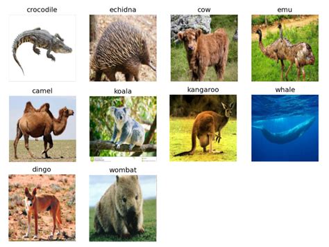 Getting Started With Fastai Haydens Blog