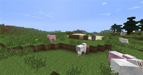 Wild Pink Sheep Seed Minecraft Map