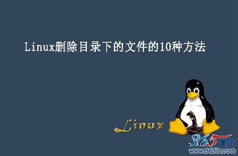 linux 删除文件夹del linux 删除文件夹和文件的命令写法 csdn博客