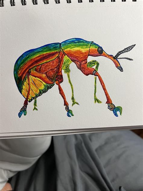 Cute Weevil Poems R Weeviltime