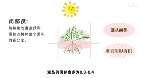 肥岛效应新晋考点必须搞明白它羊羊地理 手绘地理19 哔哩哔哩