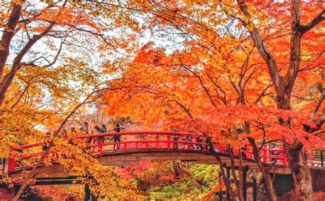 伊香保温泉の紅葉情報2023 ウェザーニュース
