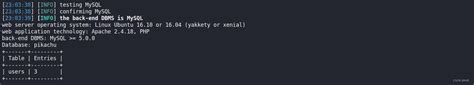 Sqlmap使用教程二实战技巧一sqlmap Dump指定条数 Csdn博客