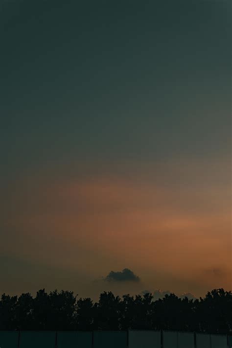 Mohammed Saad 사진