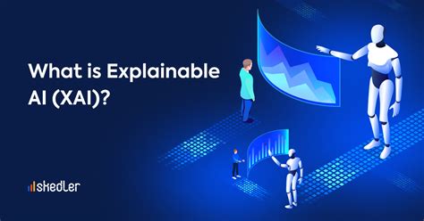 What Is Explainable Ai Xai