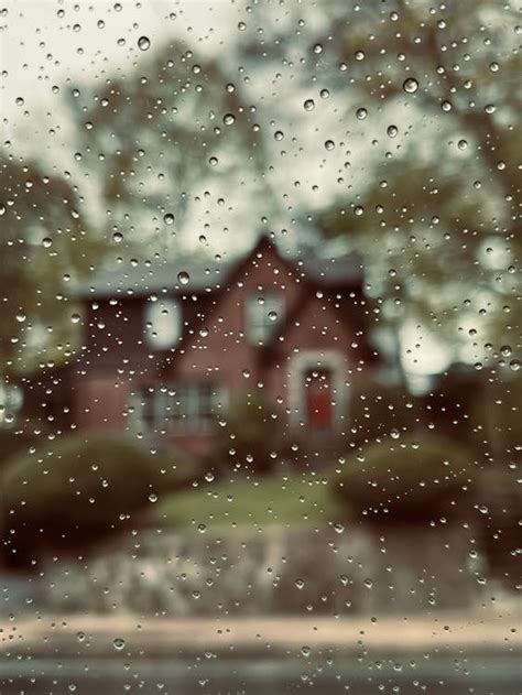 가을 강우 건축 경치 계절 고요한 관념적인 날씨 단순함 대기의 도시 경관 도시의 몽환 물 보케 부드러운 비 비 내리는 빈티지 빗방울 수분