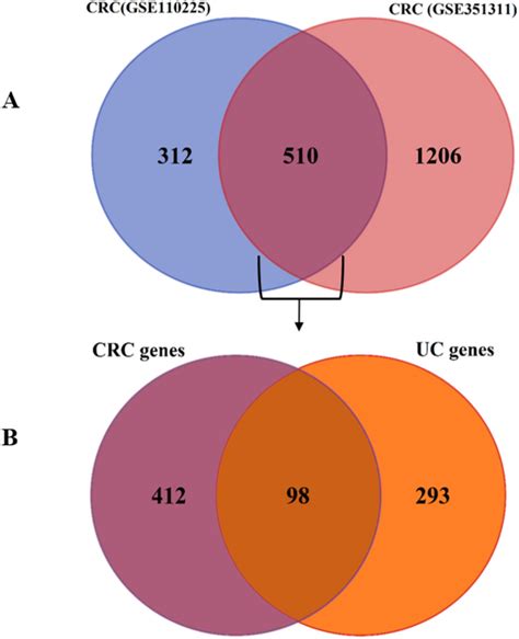 Venn Diagram Between Crc And Uc Related Mrna Datasets A Venn Diagram Download Scientific