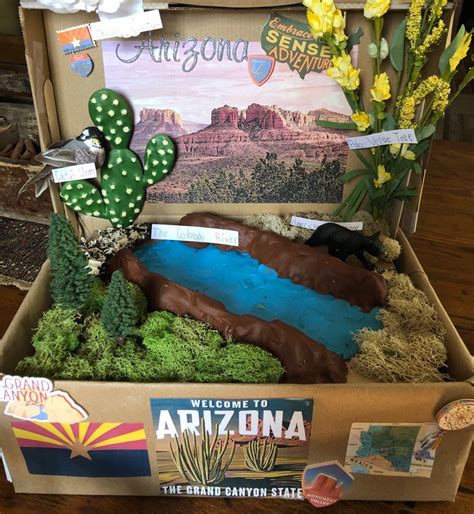 State Float Project States Project School Age Activities Habitats Projects