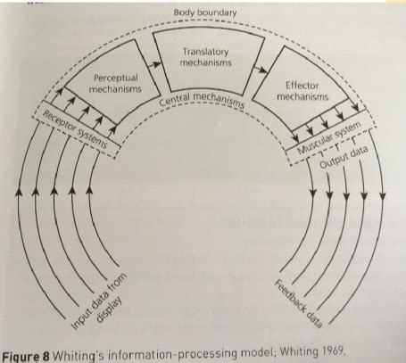 Information Processing Flashcards Quizlet Information Processing Flashcards Quizlet