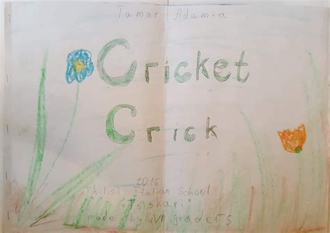 თამარ ადამიას ბლოგი ხელნაკეთი წიგნები სკოლებიდან