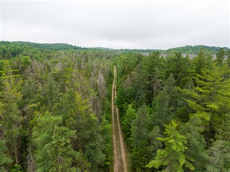 Krista Wright Presents