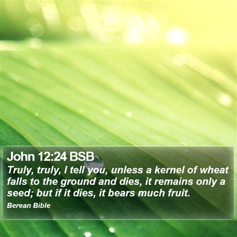 John 1224 Bsb Christian Images