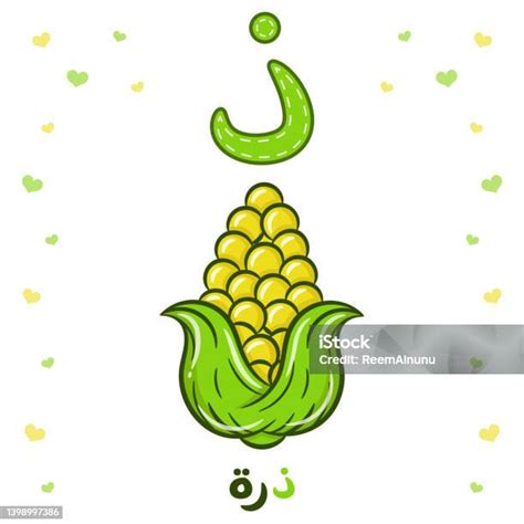 옥수수로 아랍어 문자를 배우는 인쇄 가능한 아랍어 문자 알파벳 플래시 카드 시트 알파벳에 대한 스톡 벡터 아트 및 기타 이미지 알파벳 플래시카드 공부 Istock