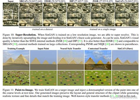 Singan Learning A Generative Model From A Single Natural Image Csdn博客