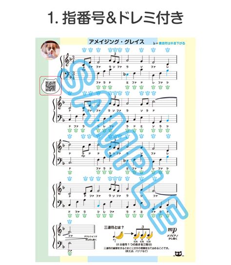 【楽天市場】「 アメイジング・グレイス 」楽譜今までになかった！お手本演奏動画付き 指番号＆ドレミ付き 指番号のみ 指番号＆ドレミなし楽譜の