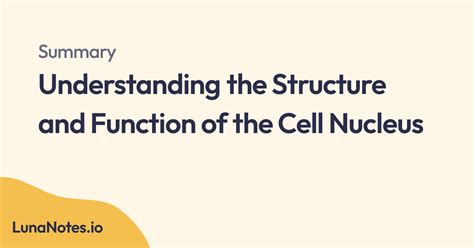 Understanding The Structure And Function Of The Cell Nucleus Video Summary By Lunanotes