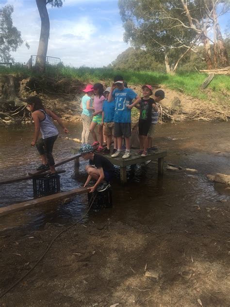 Mylor Camp Photos Mrs Khalafs Class