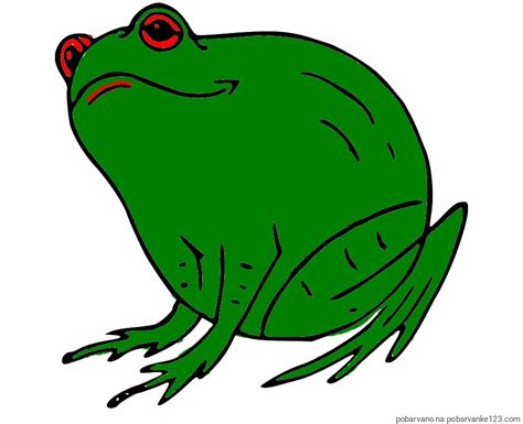 Pobarvana Pobarvanka Pobarvanka Debele žabe Luc